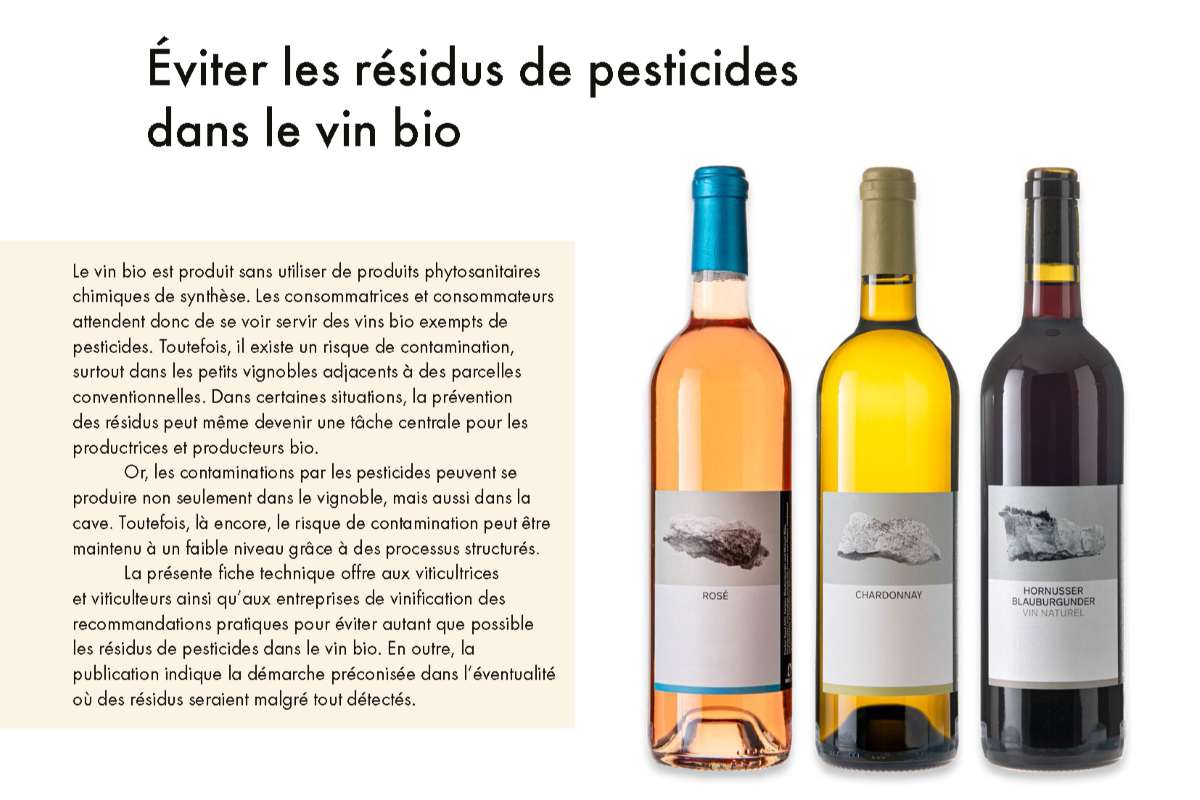 Prévention des résidus de pesticides en viti-viniculture biologique