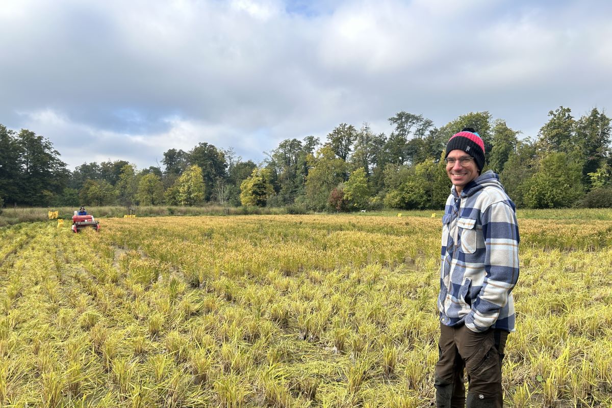 Mit den Füssen im Wasser – Der Reisbauer aus dem Kanton Aargau