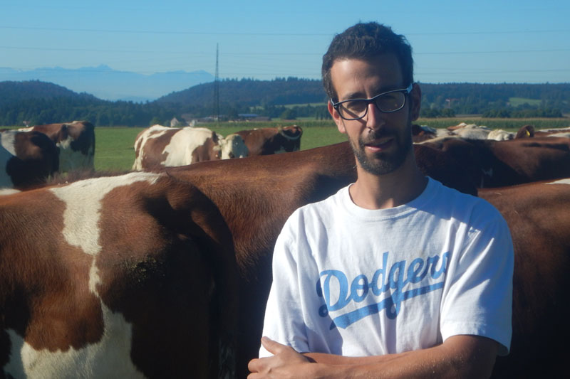 Production bovine : apprendre des autres avec ProBétail